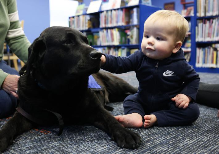 Dogs help give kids reading confidence at Selah library | Explore ...