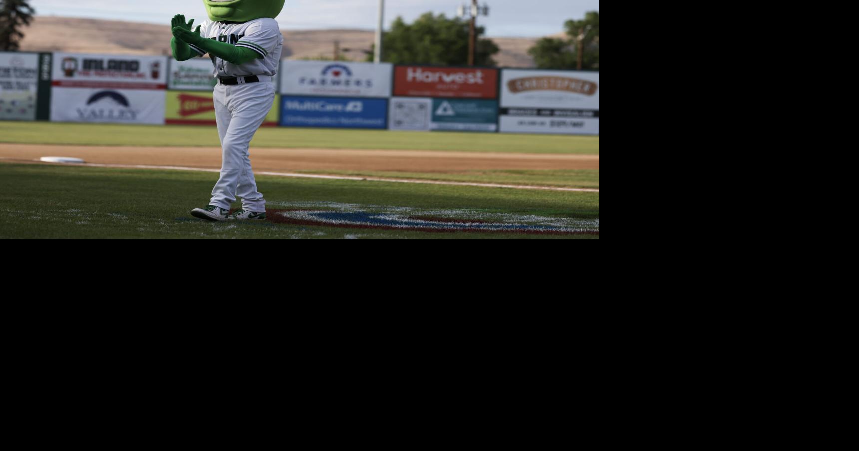 Yakima Valley Pippins drop series opener at Springfield | CWU Sports ...