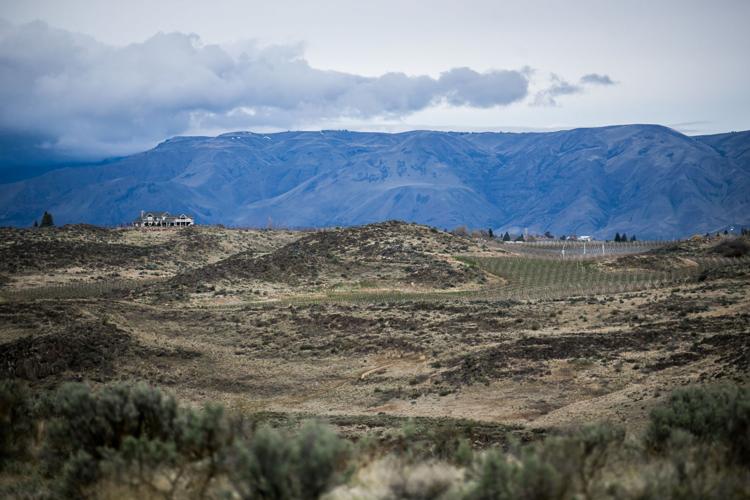 10 Yakima Valley hikes | | yakimaherald.com