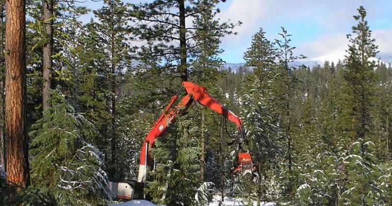 Naches Ranger District hosts public forum on forest project | Local ...