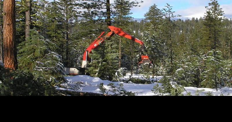 Naches Ranger District hosts public forum on forest project | Local ...