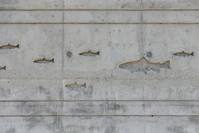 PHOTOS: Construction continues on Cle Elum Dam fish passage project ...