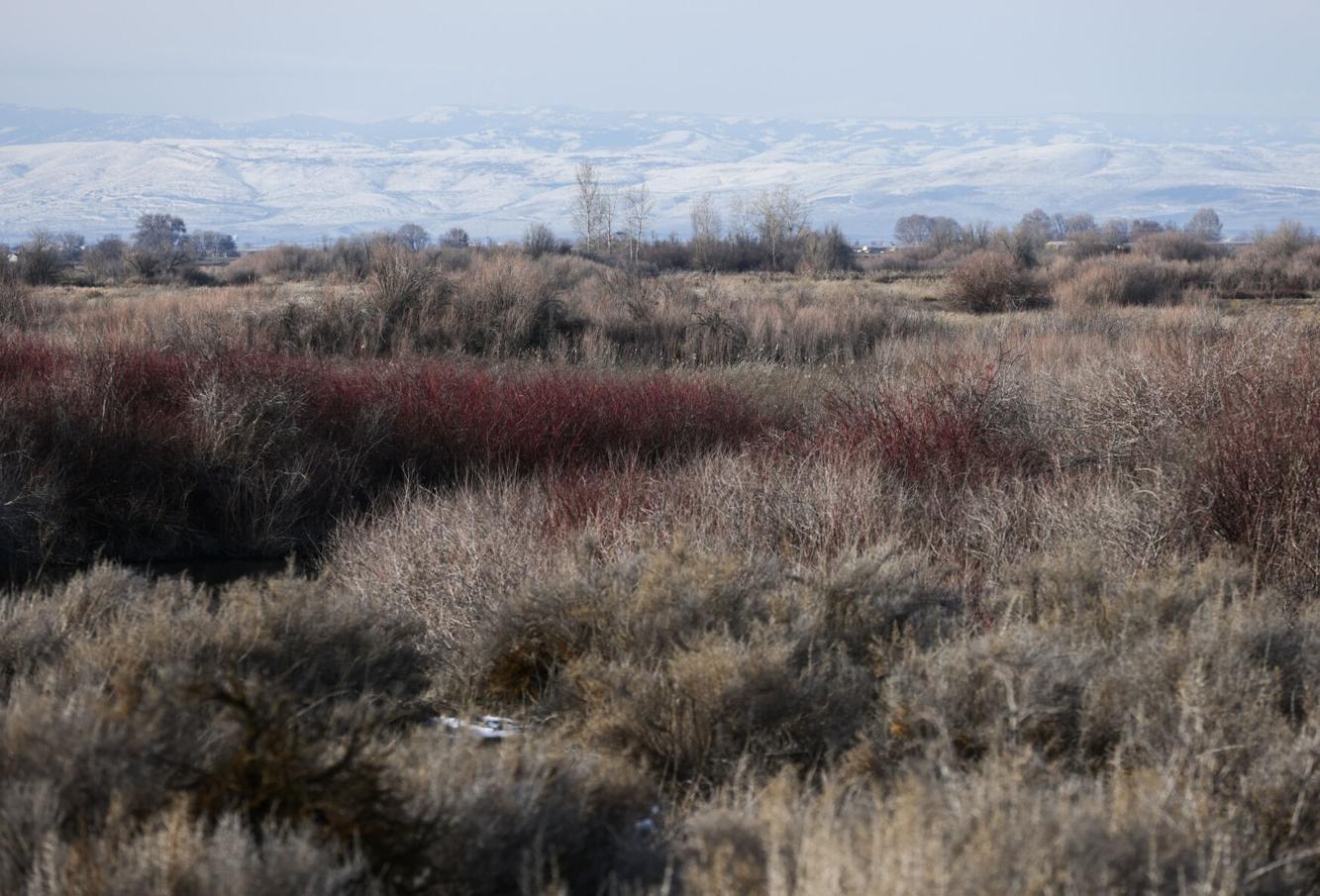 More than 500 Northern Paiute were forced to Yakama Reservation in 1879 ...