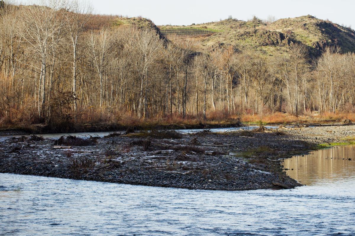 Grant boosts effort to dismantle Yakima's Nelson Dam | Local ...