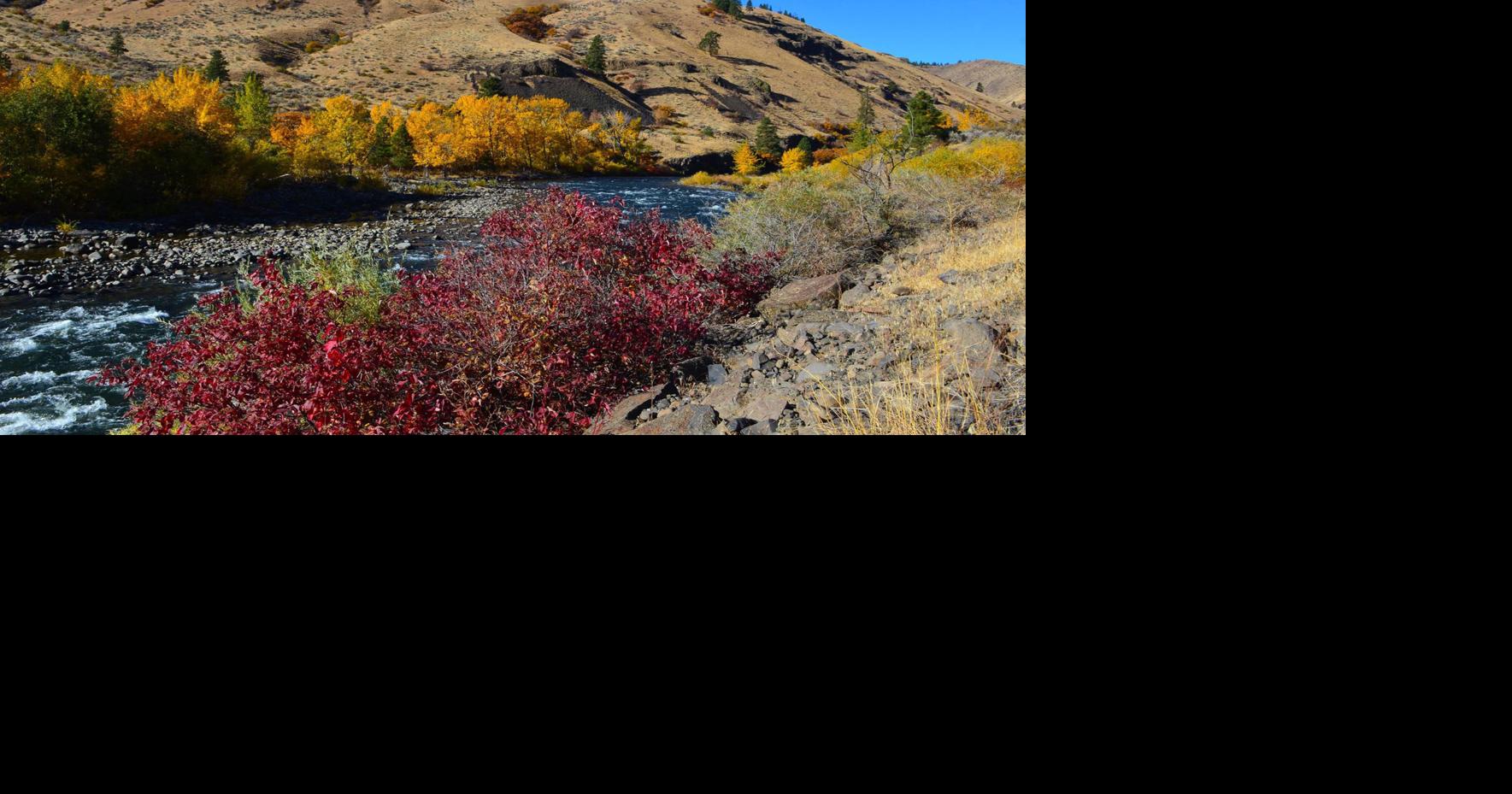 Reader photos: Fall colors in the Yakima Valley | Reader Photos ...