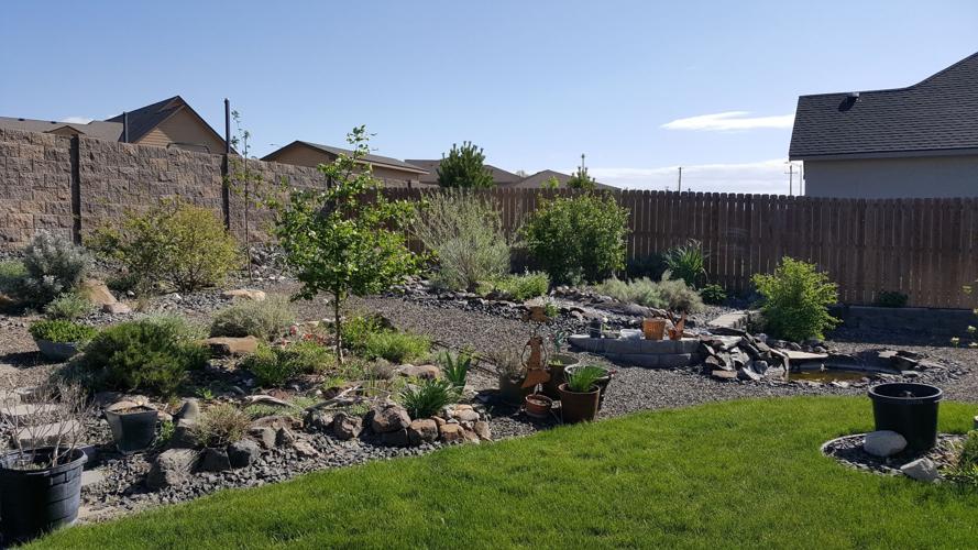 Barany in the Garden: Don't be afraid of breathtaking xeric gardens ...