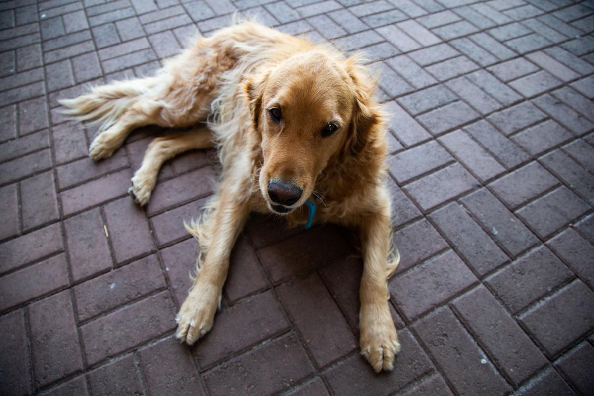 My 5 Favorite Things: Washington State Patrol Trooper Sarah Clasen ...