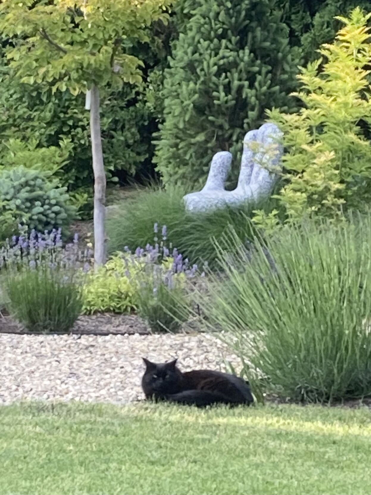 Barany in the Garden: Yakima Area Arboretum annual garden tour set for ...