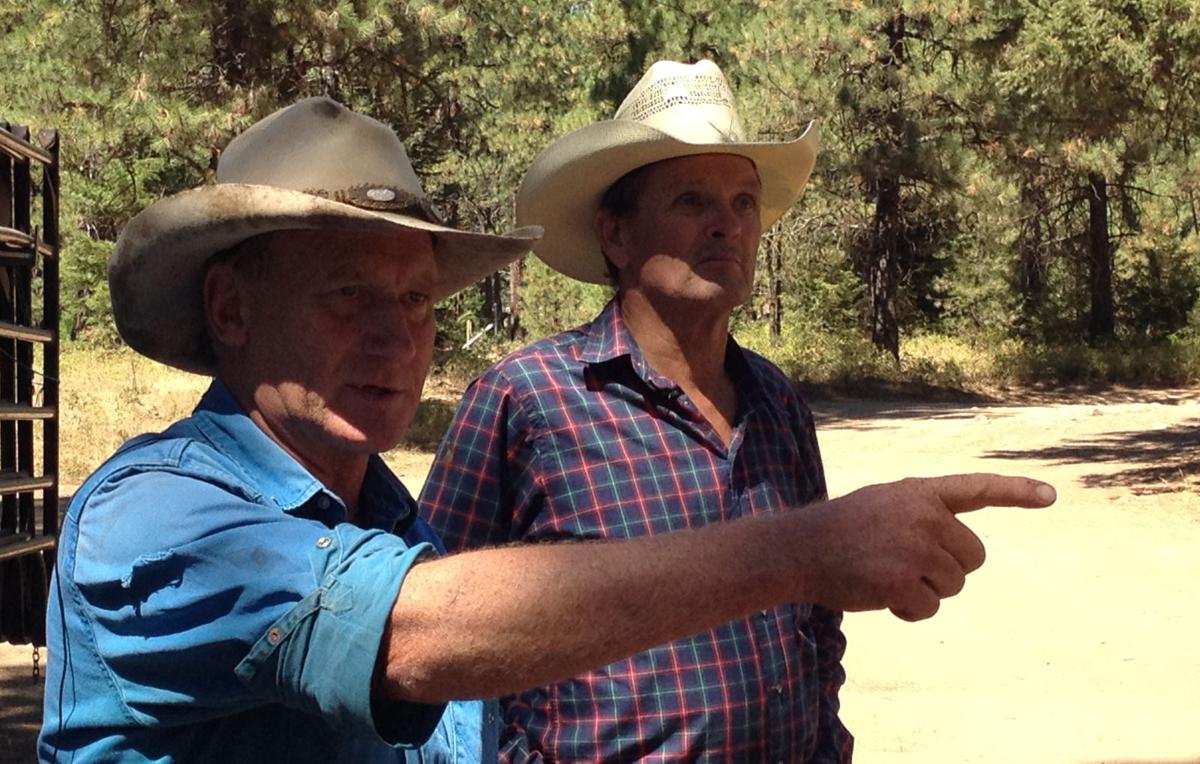 A tenuous balance between Teanaway ranchers and wolves | Outdoors and ...