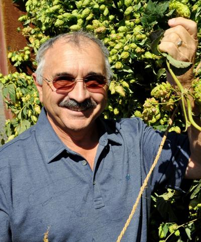 Tom Sauve knows more than a thing or two about hops | Columnists ...