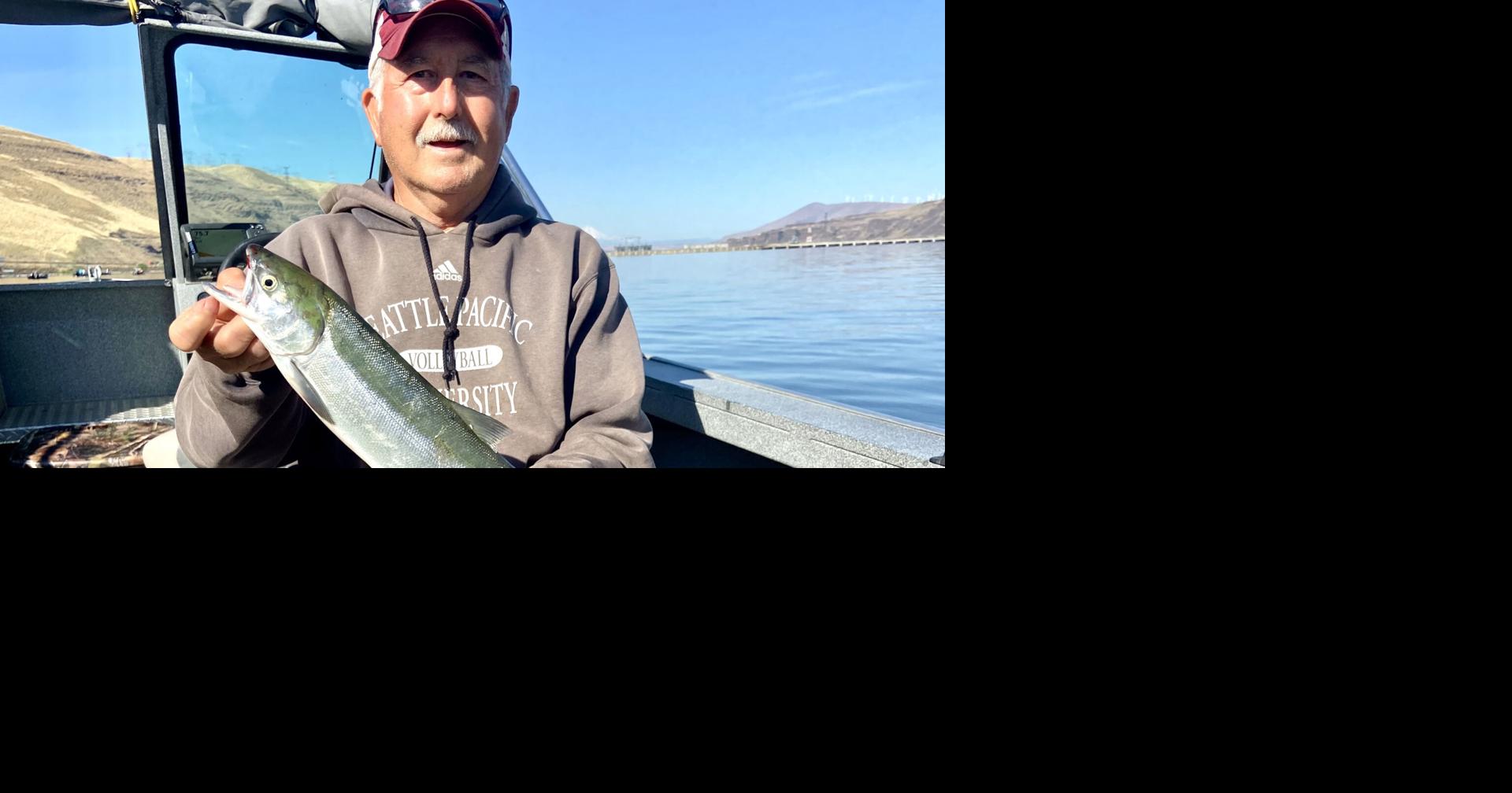 Rob Phillips: A sockeye success story on the Columbia River | Outdoors ...