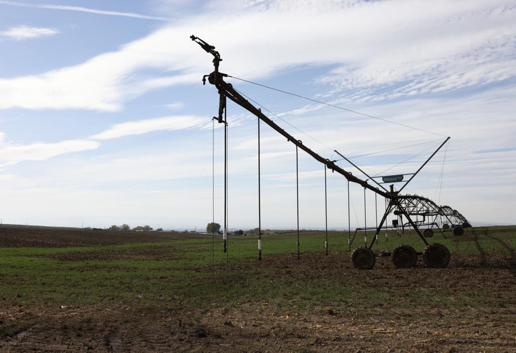 wind blown crossword