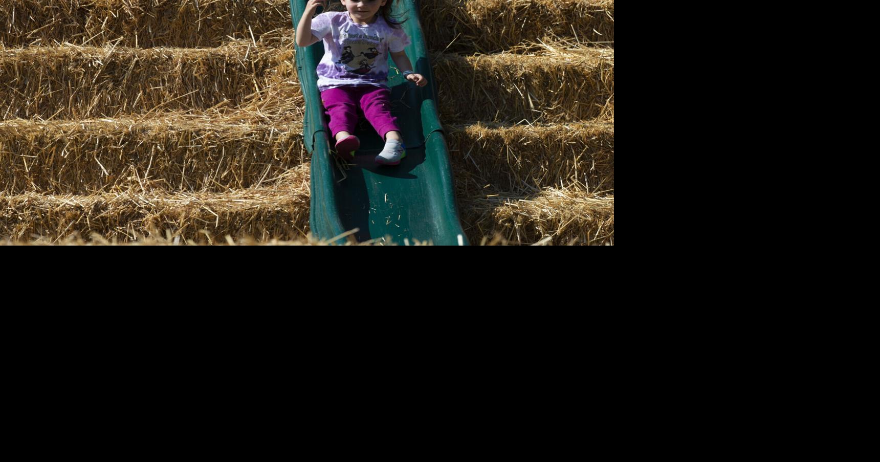 A look at family fall festivities in the Yakima Valley | Explore Yakima ...