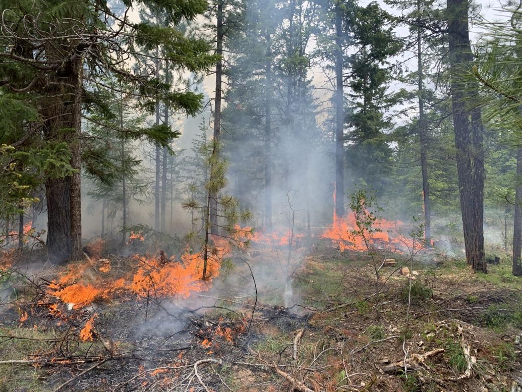 Outdoors notes: Washington DNR introduces prescribed fire notifications ...