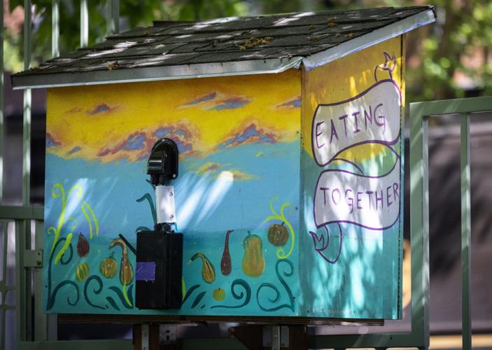 Using the power of data to fight the problem of hunger | Northwest ...