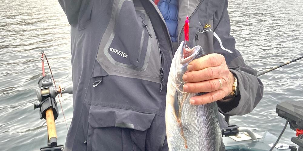 Rob Phillips: New year welcomes reminders of hits or misses, upcoming ...