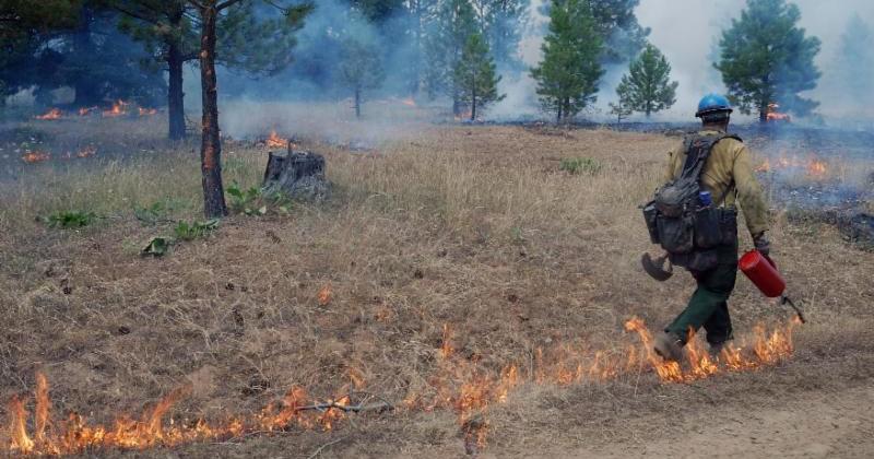 Left Hand Fire fully surrounded; blaze at 55% containment | Local ...