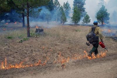 Left Hand Fire fully surrounded; blaze at 55% containment | Local ...