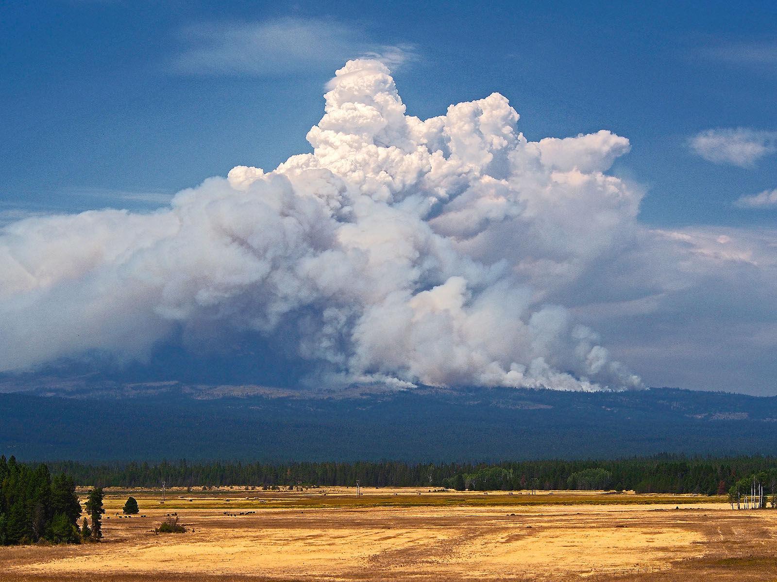 Limited firefighting resources hampering Cougar Creek Fire effort ...