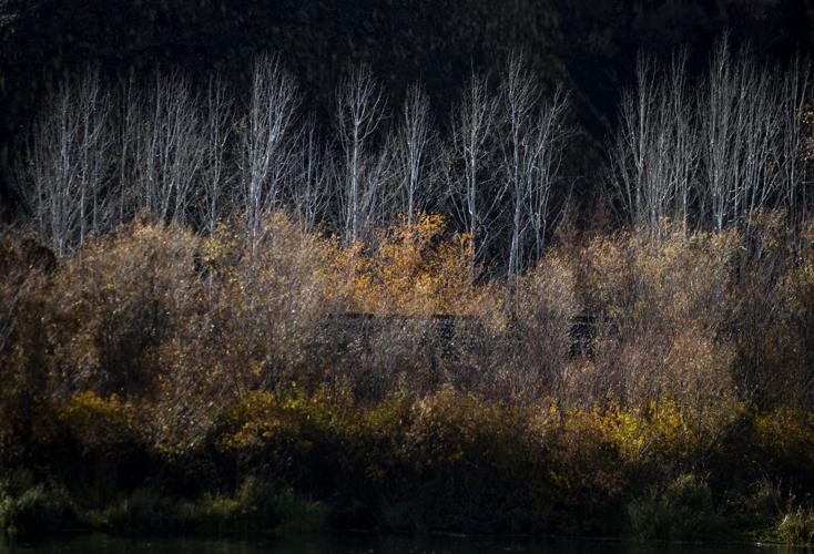 Photos: Fall foliage in Yakima County | Photos and Videos ...