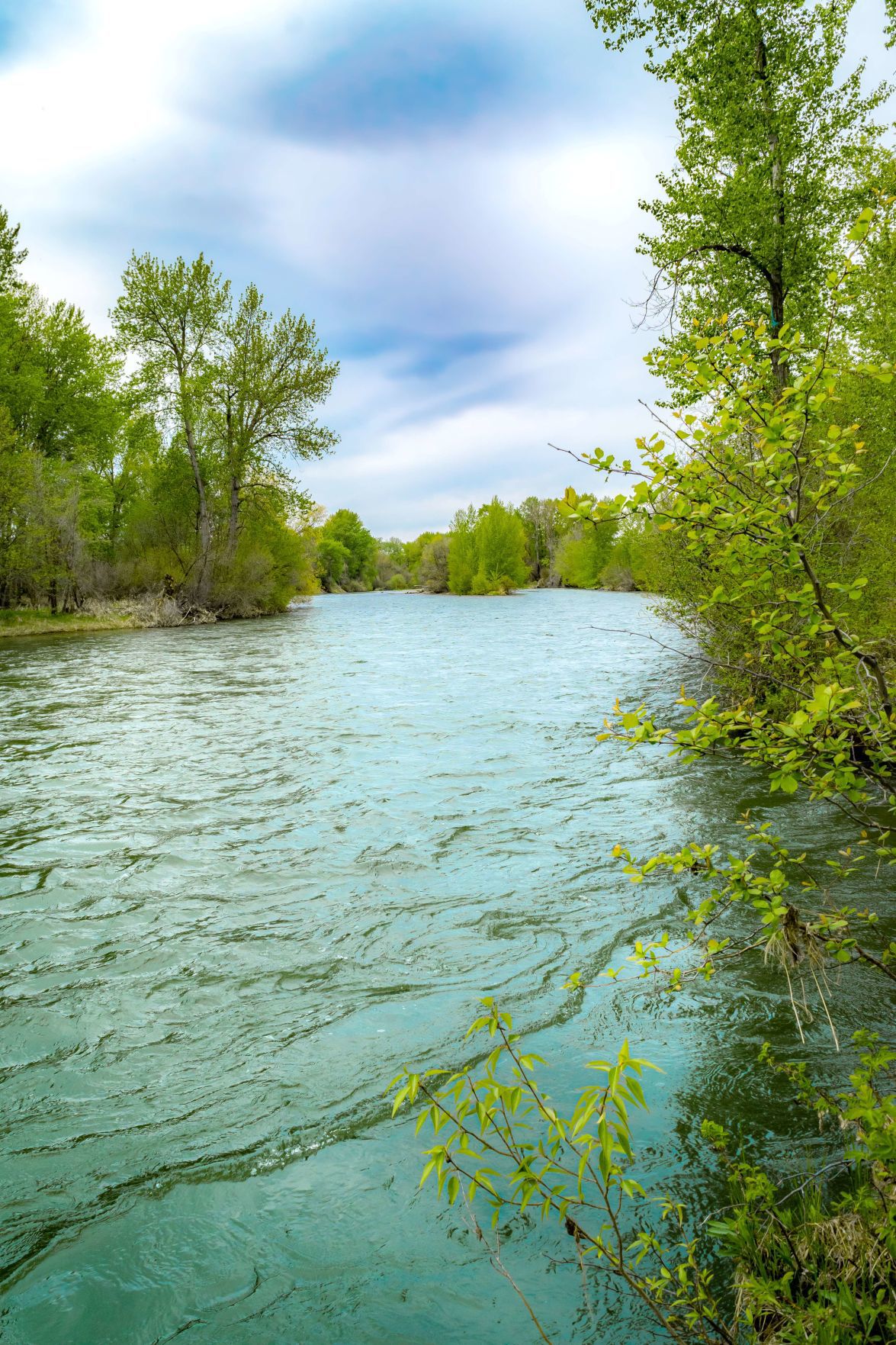 A lifelong angler learns the art of fly-fishing | Magazine ...