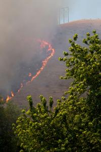 Brush fire spread from homeless encampment near Selah | Local ...