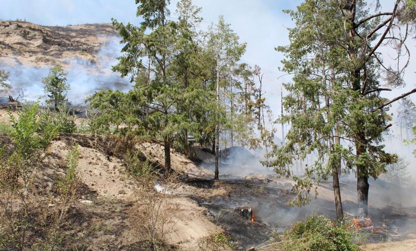 Old Naches Highway fire at 75% containment, control expected by ...