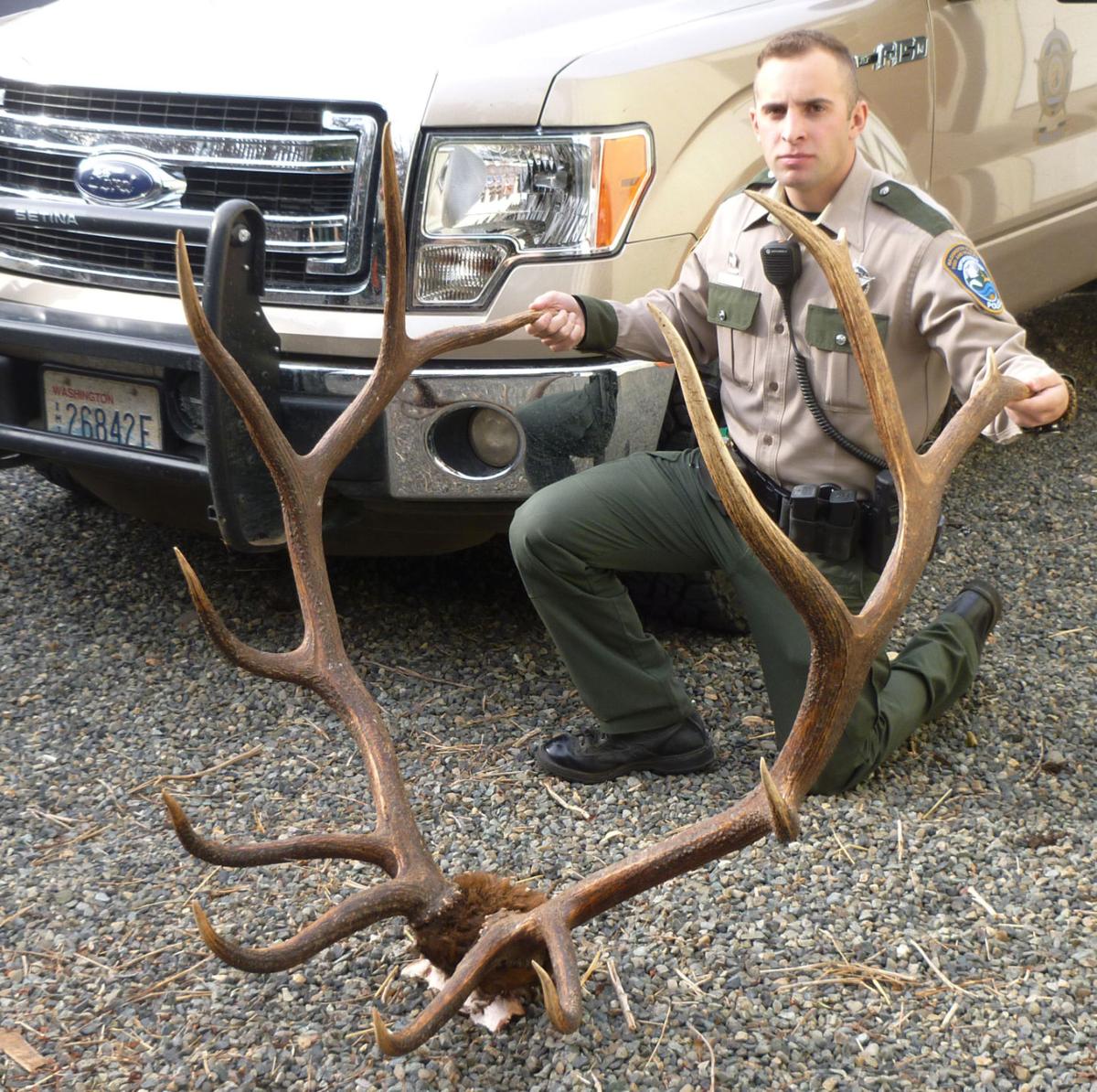 Poaching incidents mar otherwise productive elk season | Outdoors and ...