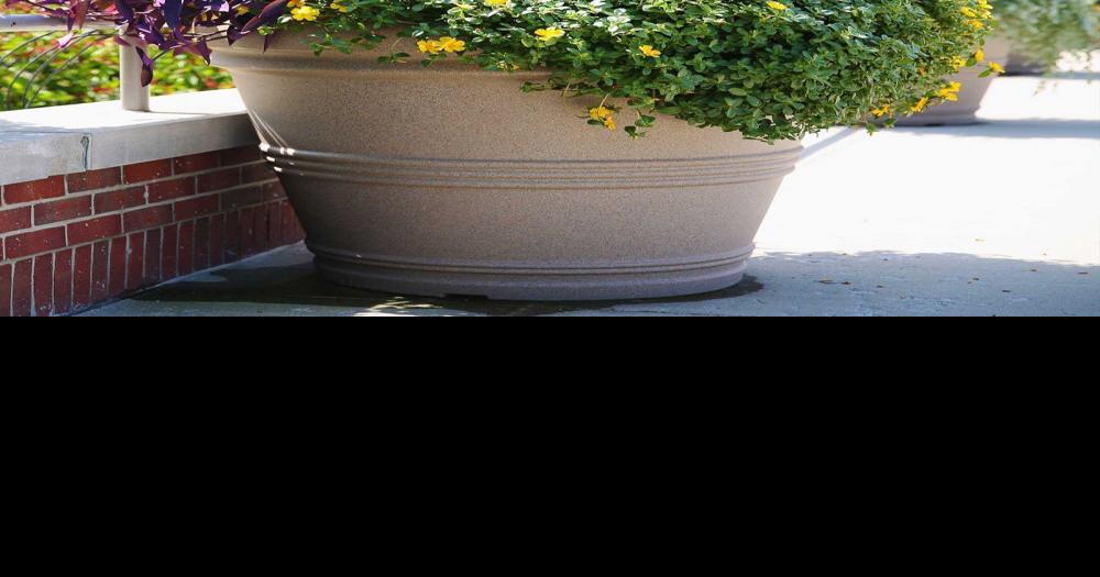 Yakima County Master Gardeners: Container gardening, from mulching to ...