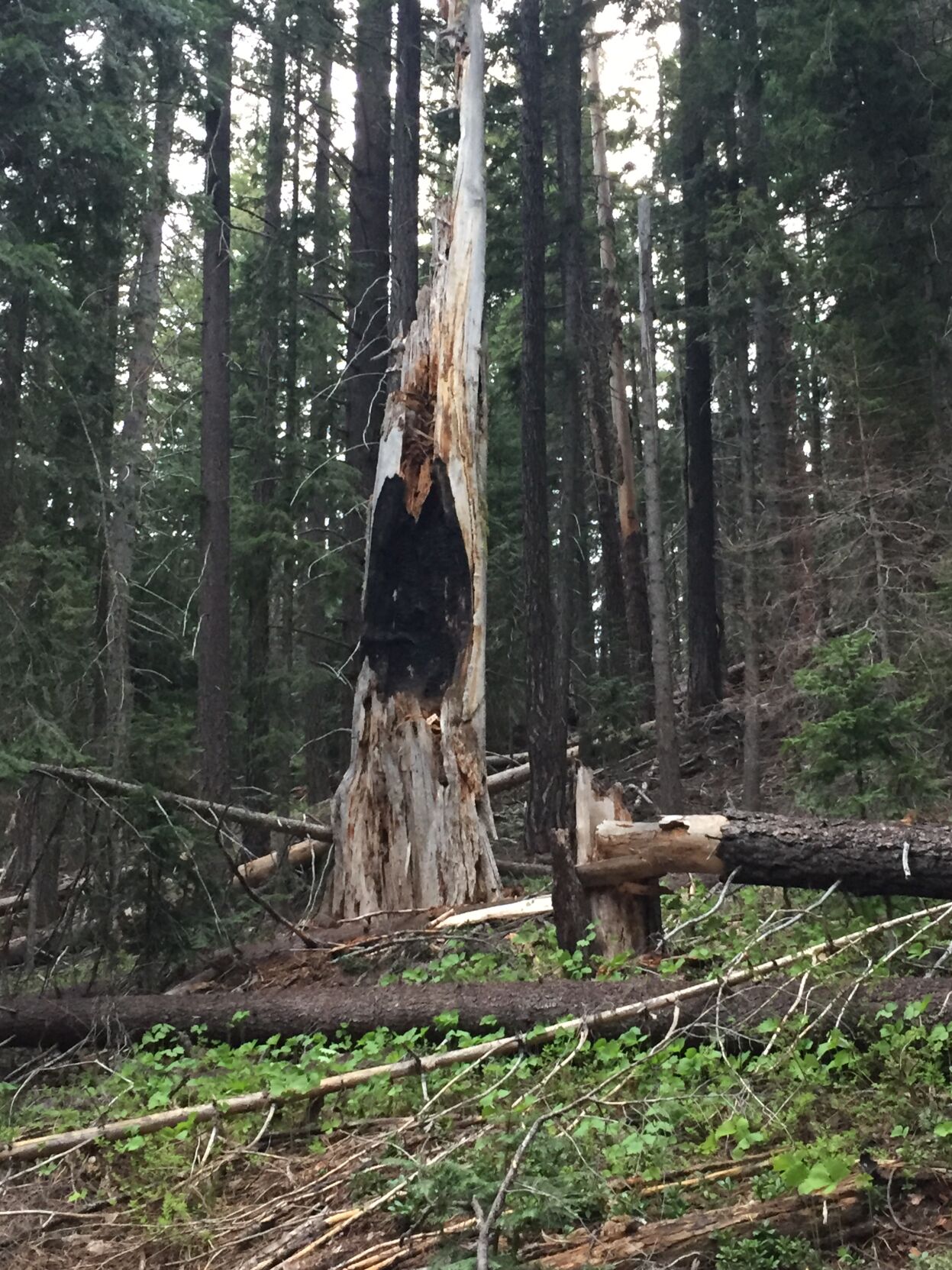 Wandering Central Washington: Dead, decaying, and... hospitable ...