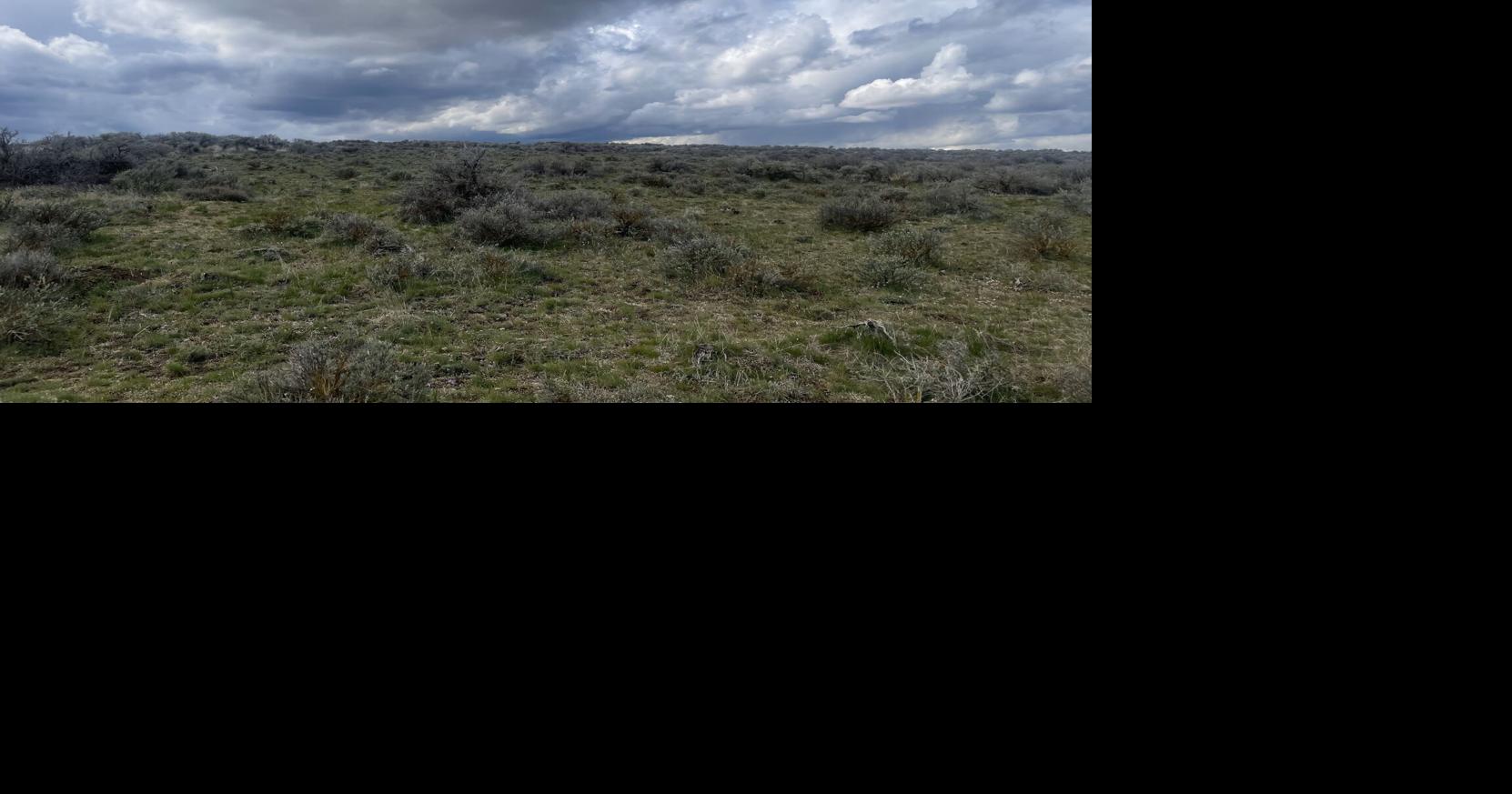Outdoors notes: Images of the Shrub-Steppe submissions open | Outdoors ...