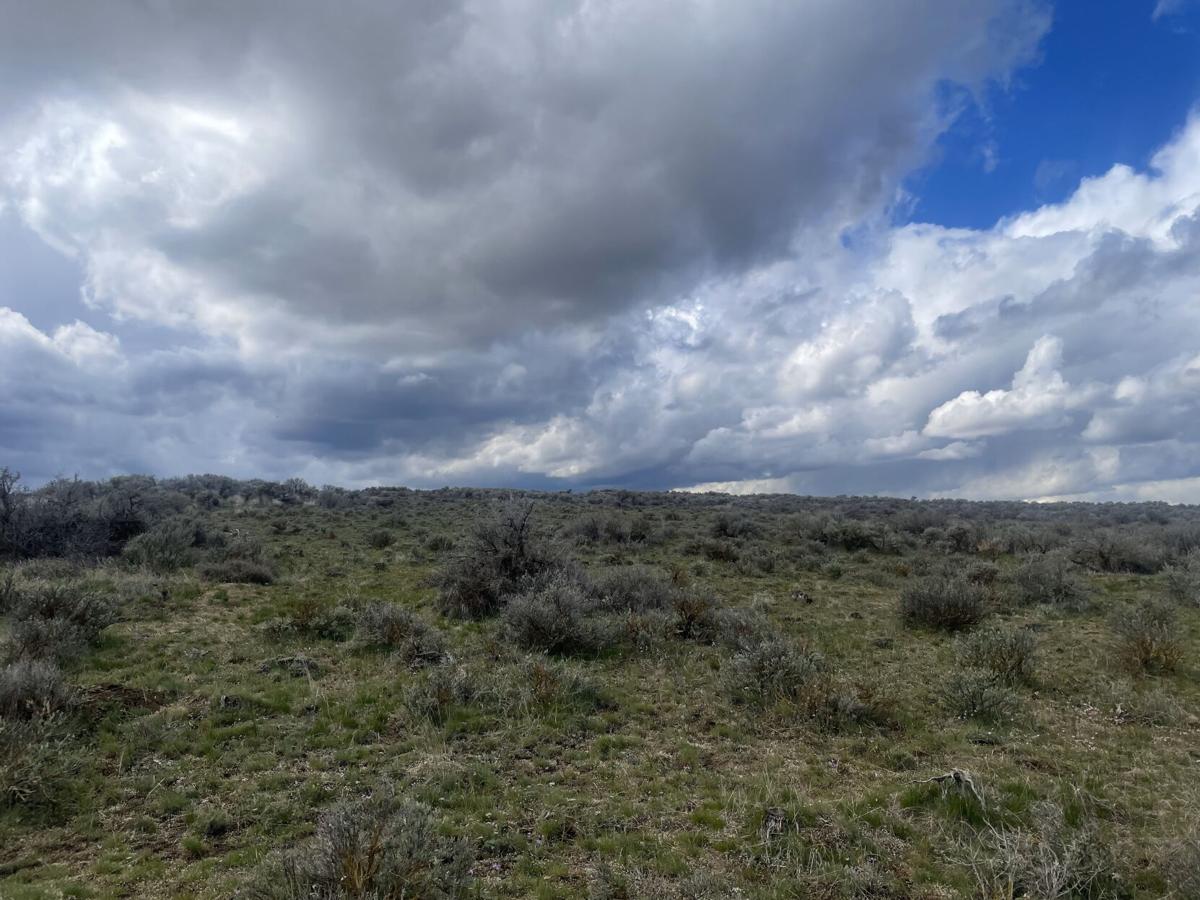 Outdoors notes: Images of the Shrub-Steppe submissions open | Outdoors ...