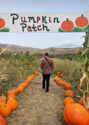 Wandering Central Washington: Jack-o-lantern lore and pumpkins galore ...