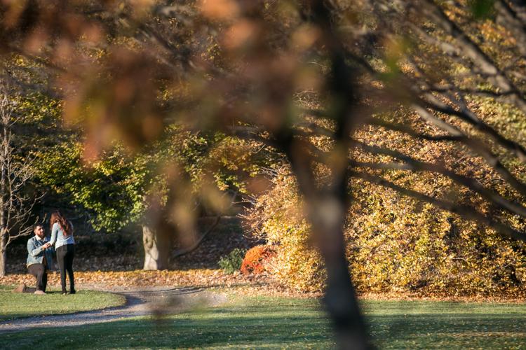 Photos: Vibrant autumn shades of Yakima’s Arboretum | Photos and Videos ...