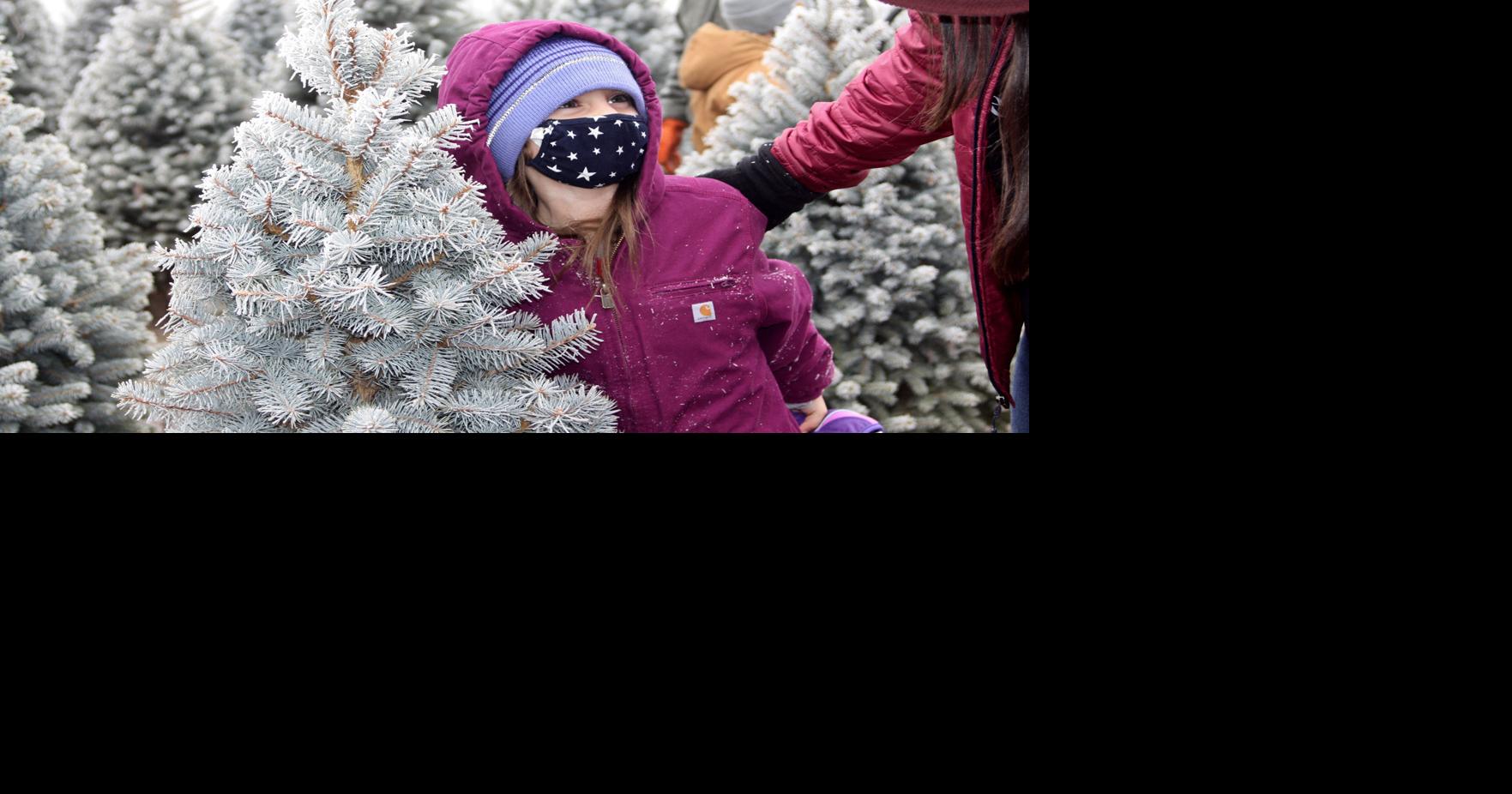 Popularity of customer-cut Christmas trees brought an early end to ...