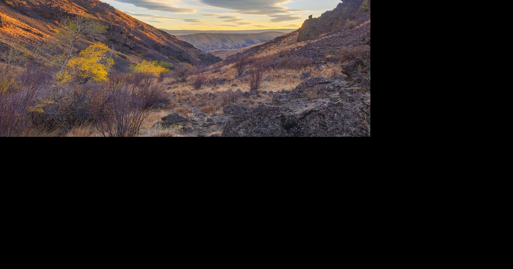 The Arts Scene: Our shrub-steppe biome is inspiring | Arts And ...