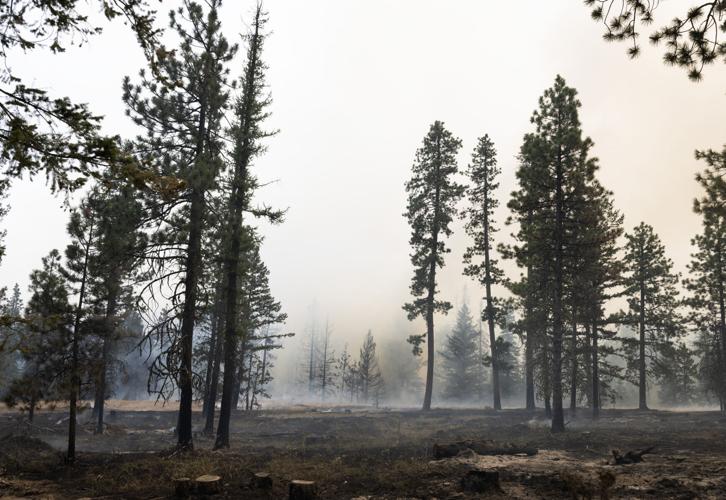 Here's how to help businesses, community members after Retreat Fire ...