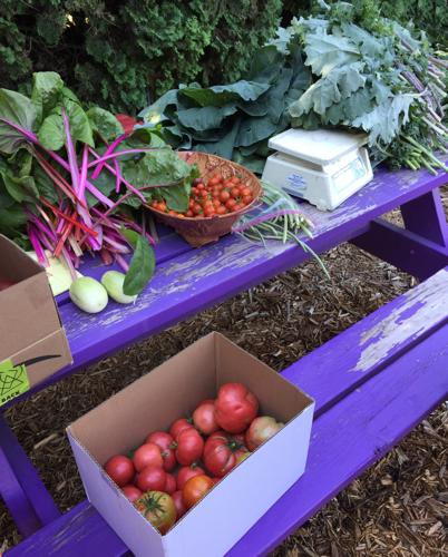 Yakima’s Heirloom Seed Lending Library | Community | yakimaherald.com