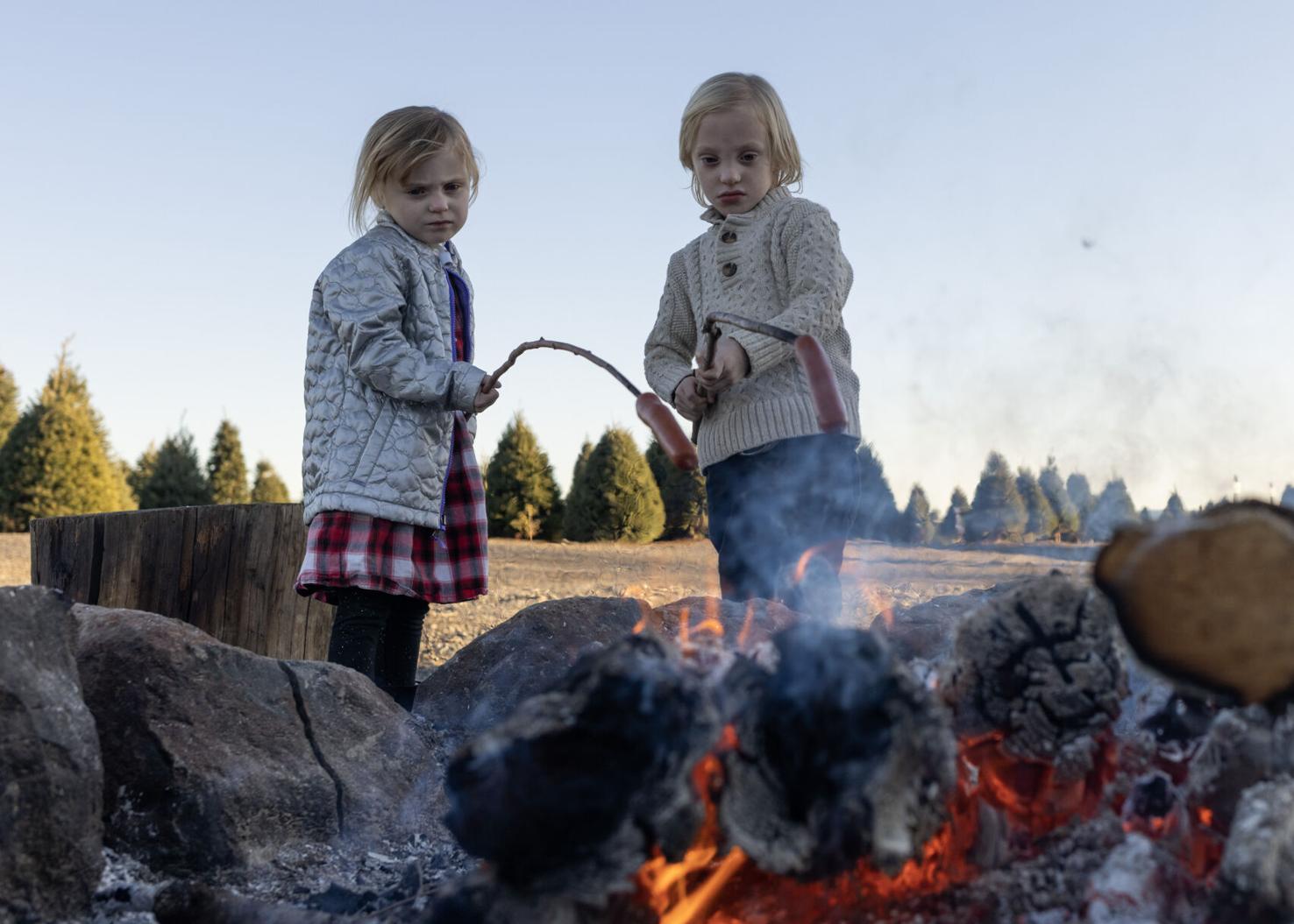 Christmas tree options abound in the Yakima Valley from cut-your-own to ...