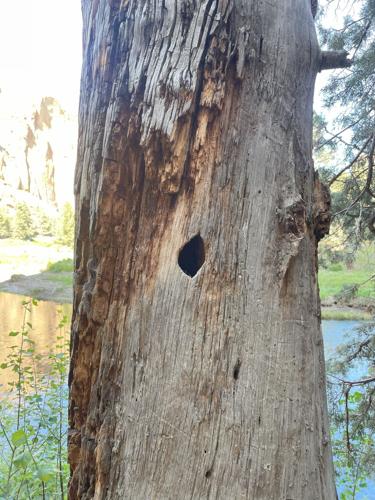 Wandering Central Washington: Dead, decaying, and... hospitable ...