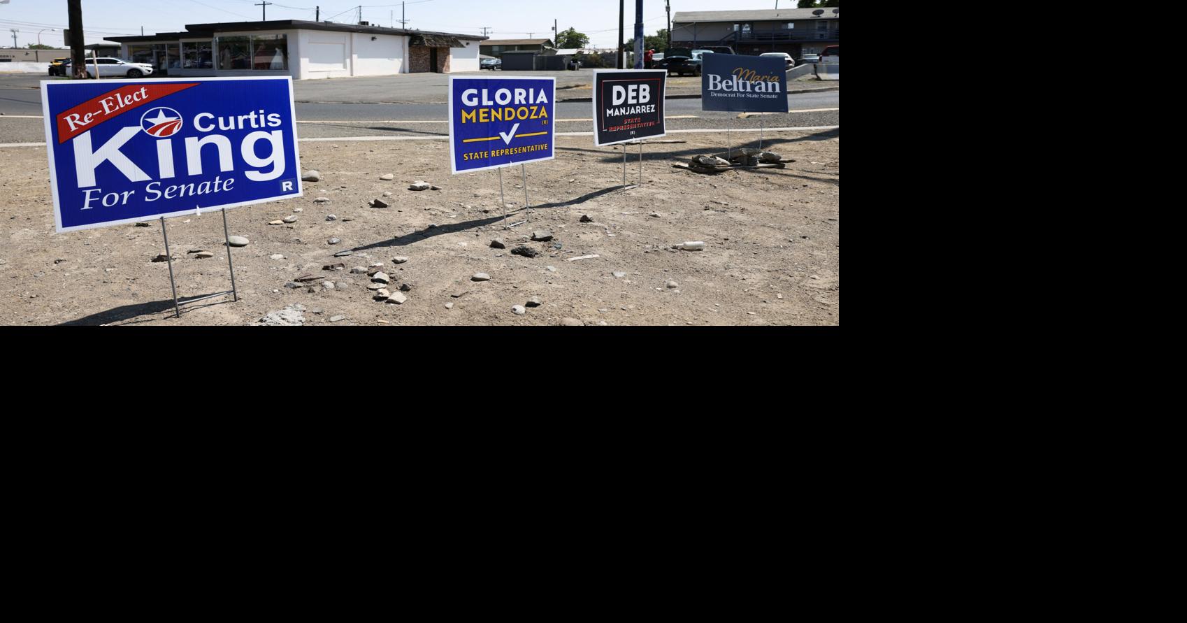 Letter: Stealing campaign signs isn't democracy, and it won't silence ...