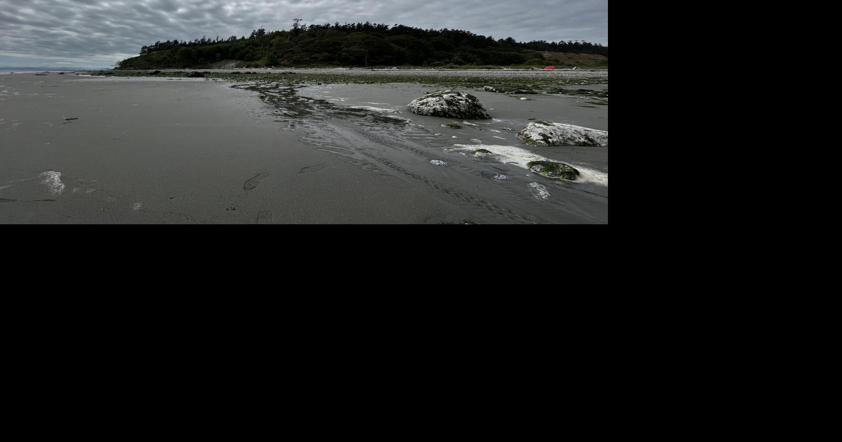 Lily Point Marine Reserve | | yakimaherald.com