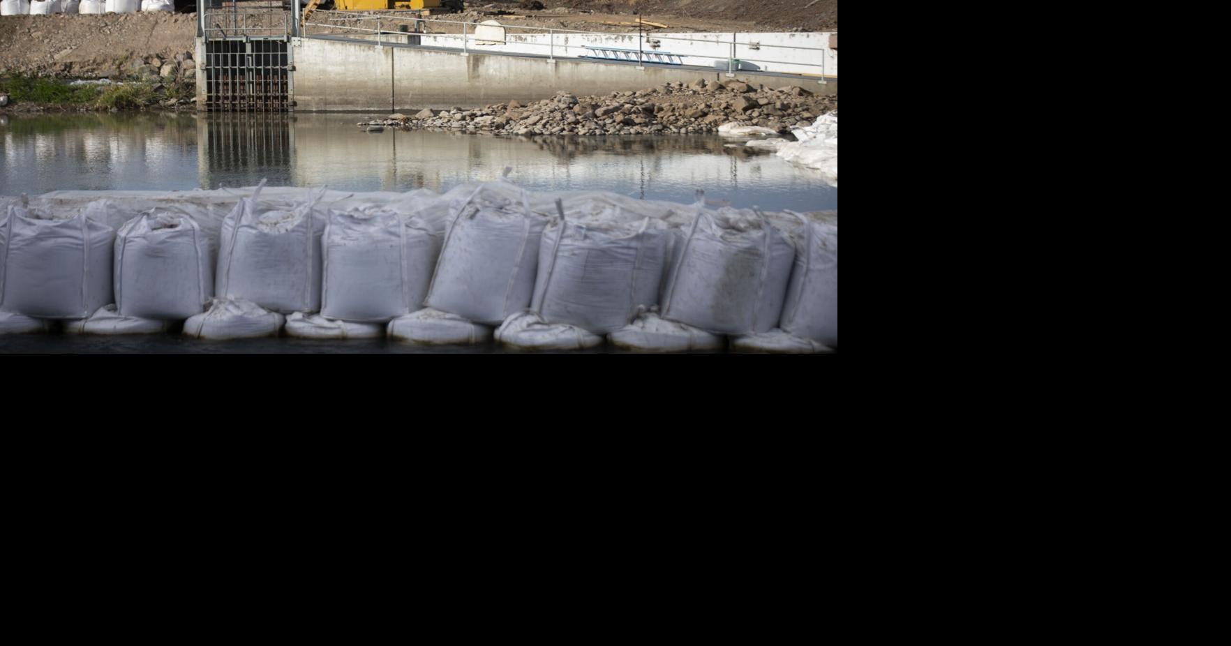 Letter: Filling in some details on Nelson Dam's history | Opinion ...