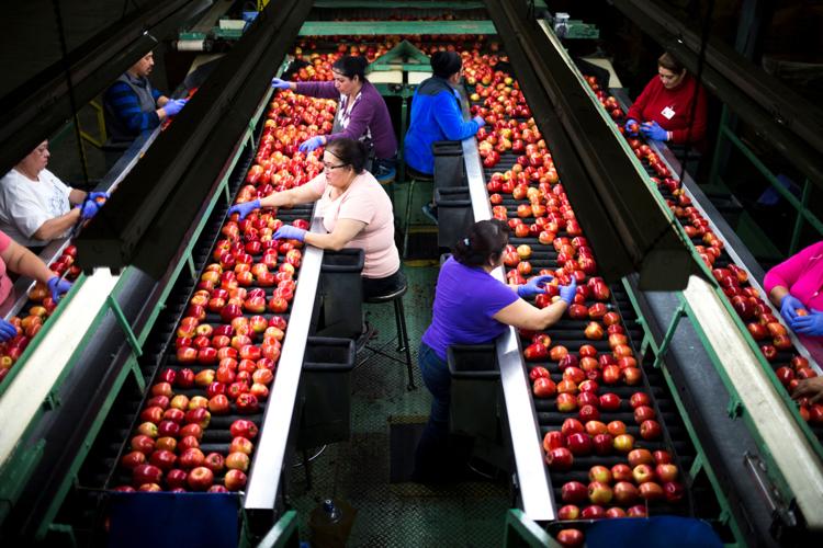 Photos: Borton Fruit expands its operations | News Photos ...