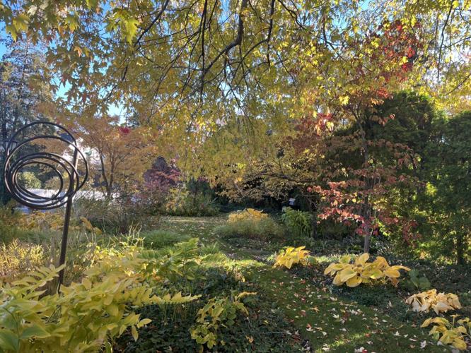 Fallen leaves prove vital to garden health, researchers say | Home And ...