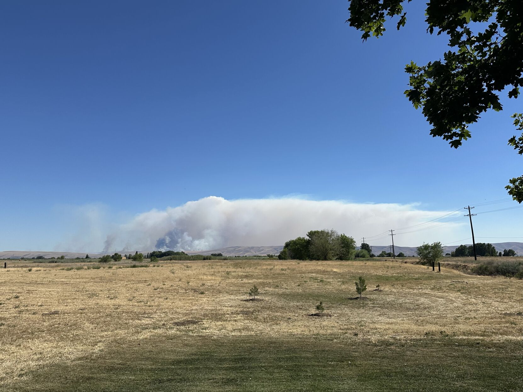 Tule Fire grows south of Toppenish; red flag fire warning in effect ...