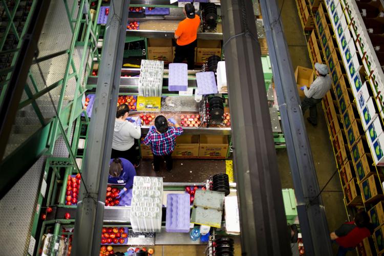 Photos: Borton Fruit expands its operations | News Photos ...