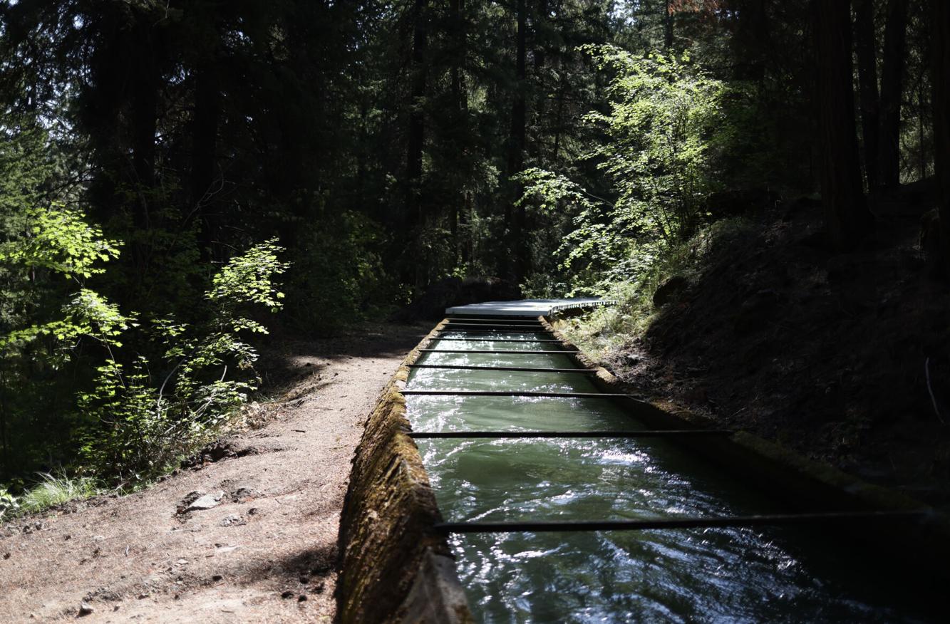 Bureau of Reclamation declares Yakima-Tieton Canal an emergency | Local ...