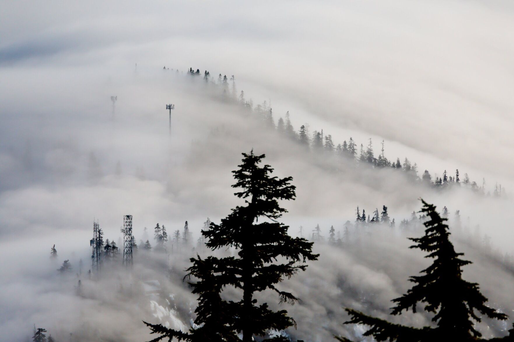 Avalanche kills 2, injures 1 at Longs Pass in Kittitas County ...