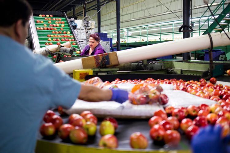 Photos: Borton Fruit expands its operations | News Photos ...